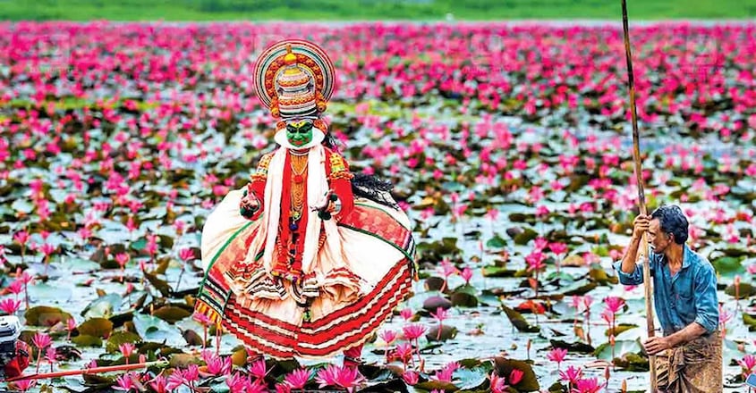 Water lily paradises beyond Malarikkal: Spots, routes and things to ...