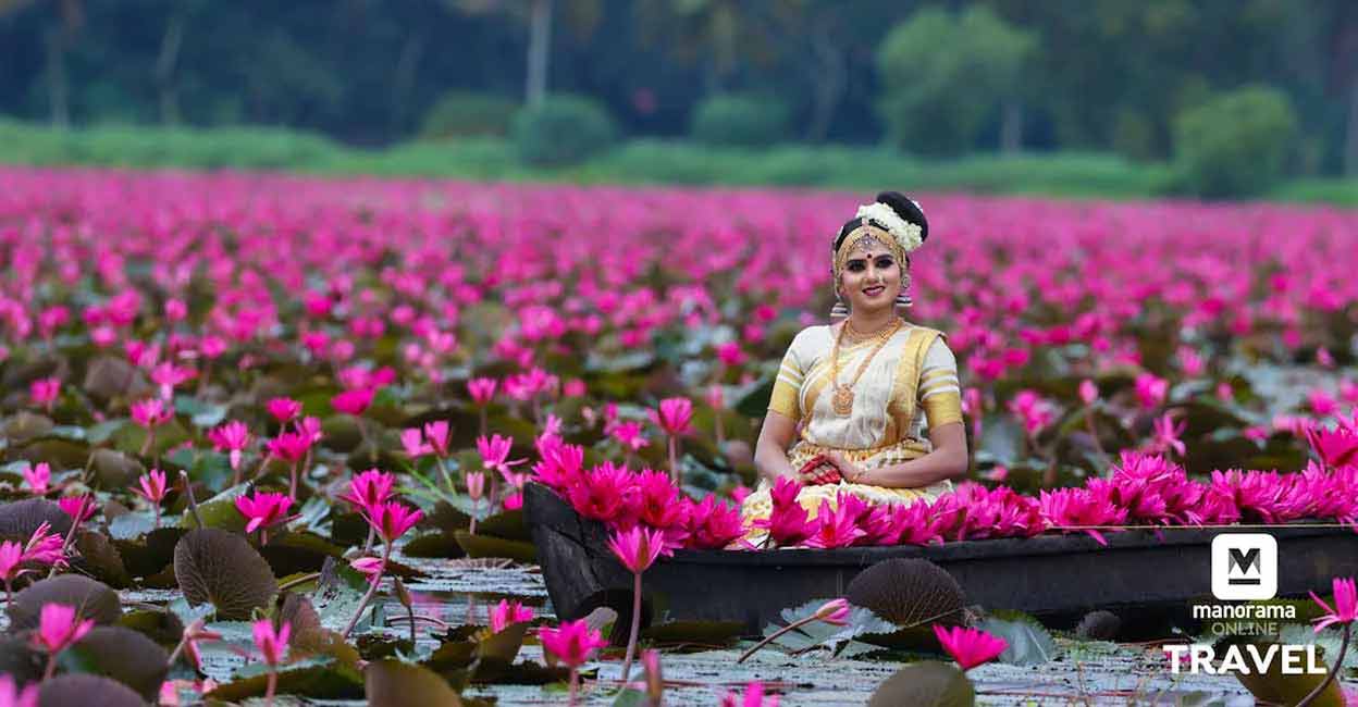 Kottayam's Kollad: A less-crowded water lily haven of Kerala | Kerala ...