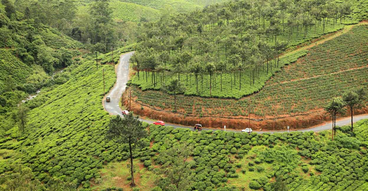 Vagamon routes have become accident prone: Safe travel tips for ...