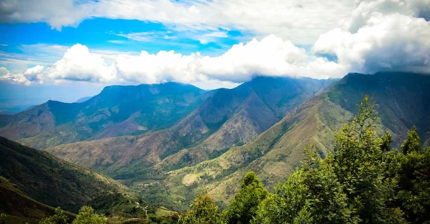 Regular attacks on tourists put Munnar to shame; Authorities remain ...