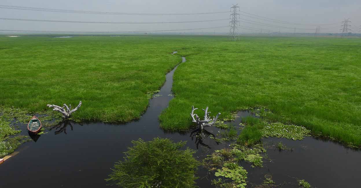Jai Prakash Narayan Bird Sanctuary becomes 100th Ramsar site of India