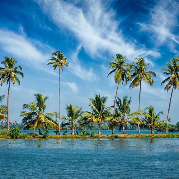 Kerala News Today in English | Latest Kerala Updates – Onmanorama English