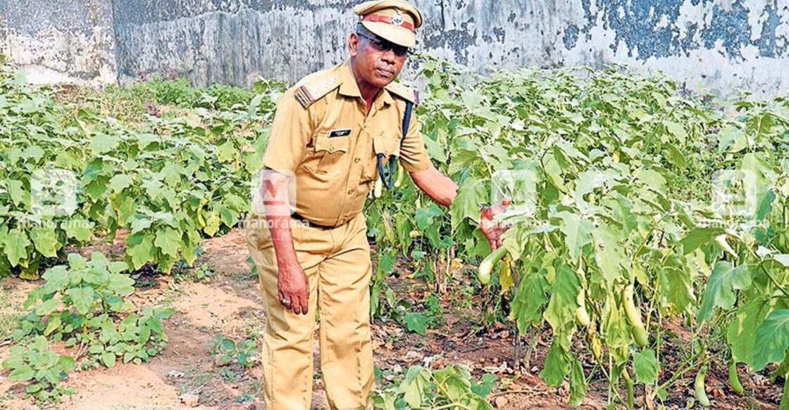 Mavelikkara jail superintendent wins President’s award for farming ...
