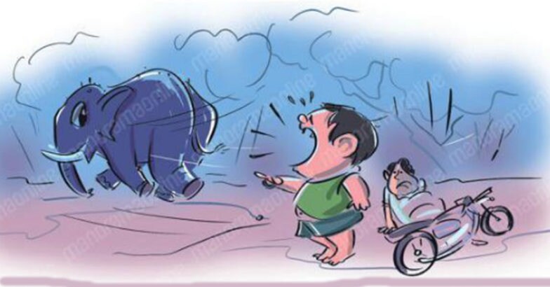 3-year-old boy's cry stops charging elephant, saves father's life ...