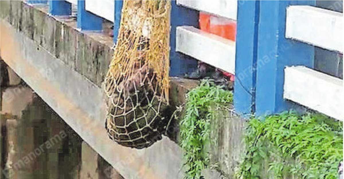 Daring rescue in safety net, 70-year-old saved from flash flood in ...