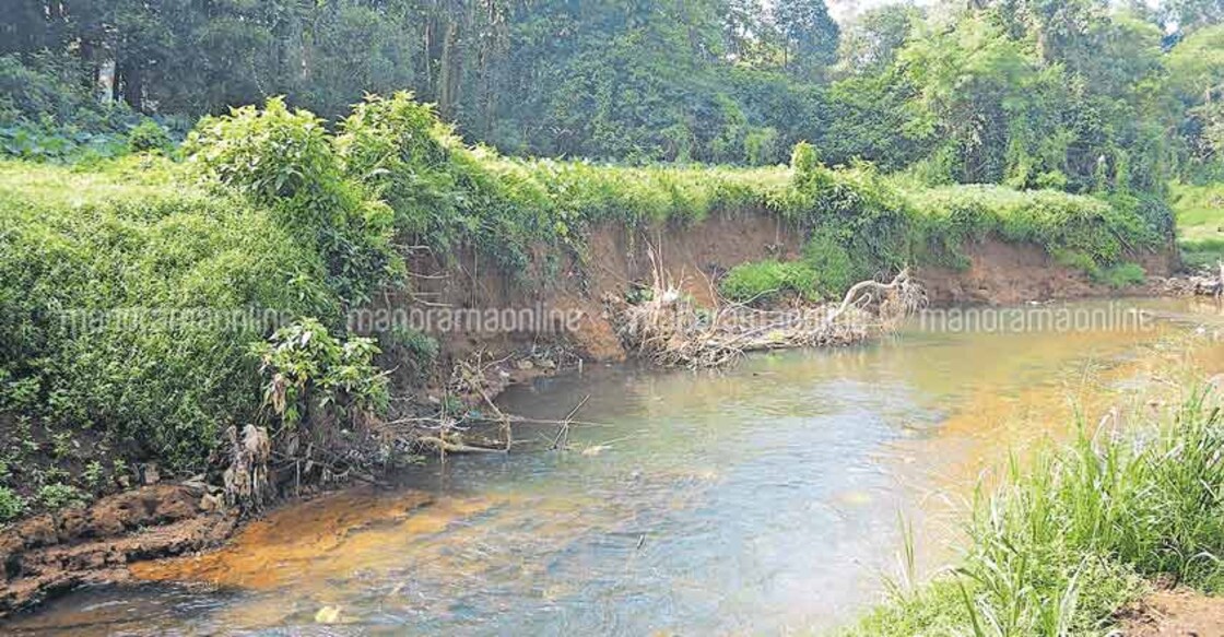 Call to save shrinking grove in Ranni