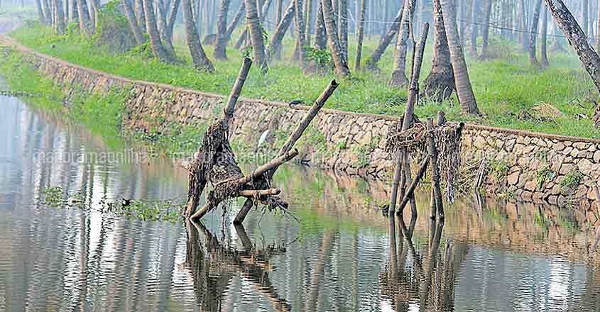 Cherpu villagers' wait for bridge continuous | Cherpu | Chazhoor ...