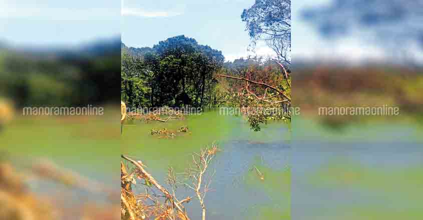 Lake develops after recent landslide in remote Wayanad | water body ...