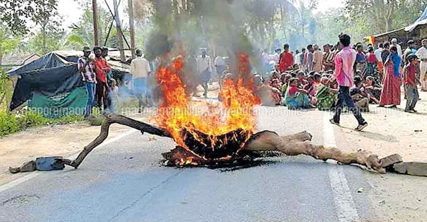 Protests in Pulpally after Forest officials sneak out killer tiger