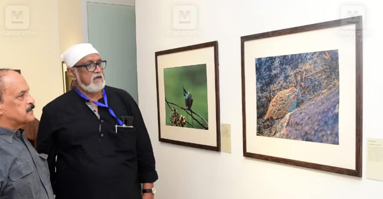 Mammootty's rare click of Indian bulbul to be auctioned on June 30; bid ...