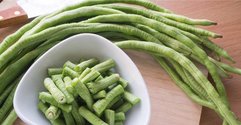 Come 2021, astronauts could grow beans in space