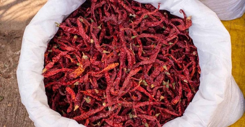 12 varieties of Indian chillies you must know about | Manorama English