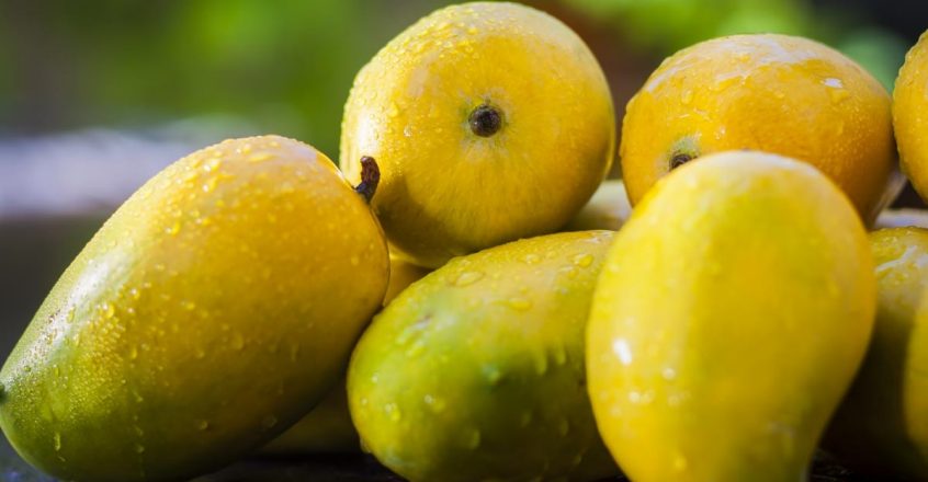 All about the king of fruits- Mango | Food | Manorama English