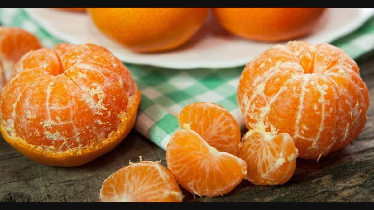 orange fruit features