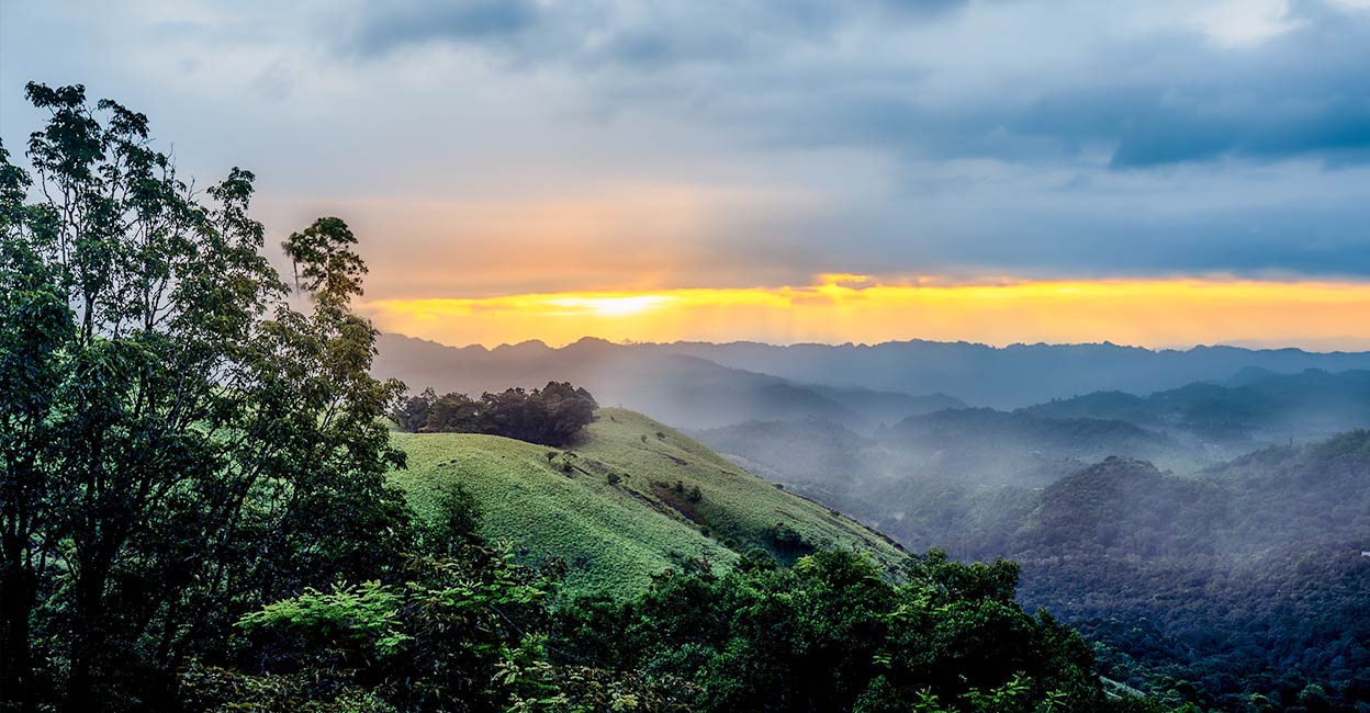 Wayanad food trail: The diverse tastes of Kerala’s cultural and ...