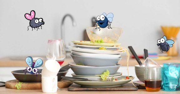 No more fruit fly hassles: Practical hacks for a bug-free kitchen ...