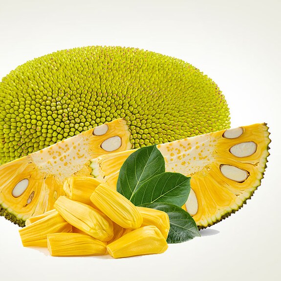 how to make use of jackfruit