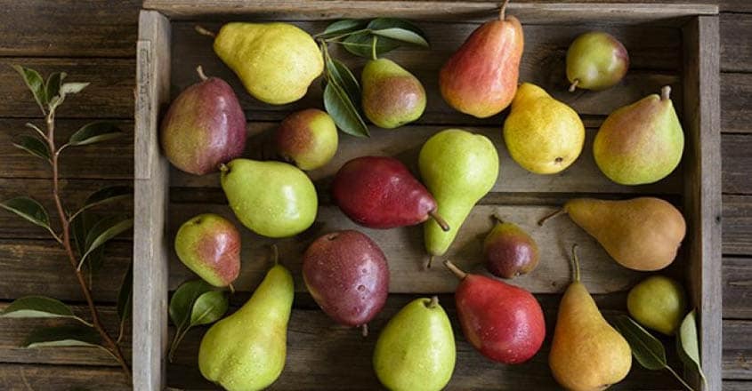 How the pear fruit can keep you healthy | Food | Manorama English