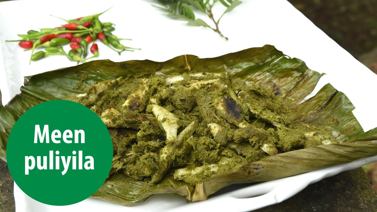 Meen puliyila
