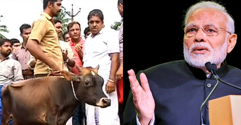 Modi rakes up Kannur calf slaughter to corner Congress in MP