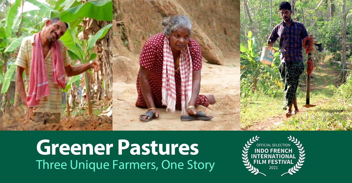 Greener Pastures: Three unique farmers, one story | Agriculture ...