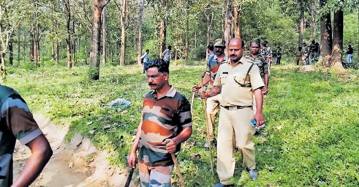 Tiger still elusive despite extensive search in Wayanad