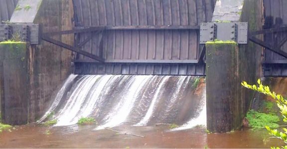 Cheruthoni, Idamalayar dams to be opened Tuesday; high alert in Idukki ...