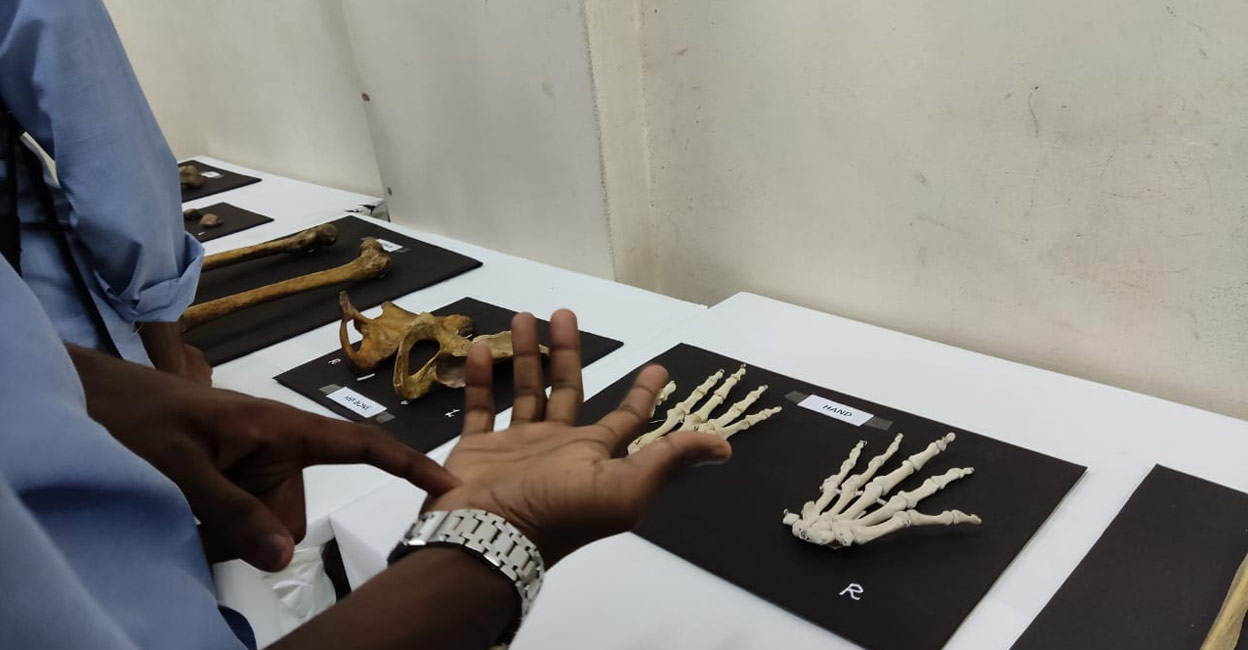 A college in Kottayam sets up first of its kind human anatomy museum