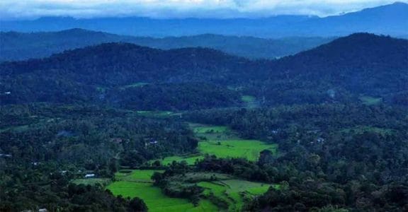 Buffer zone map riddled with errors; glaring bloopers here