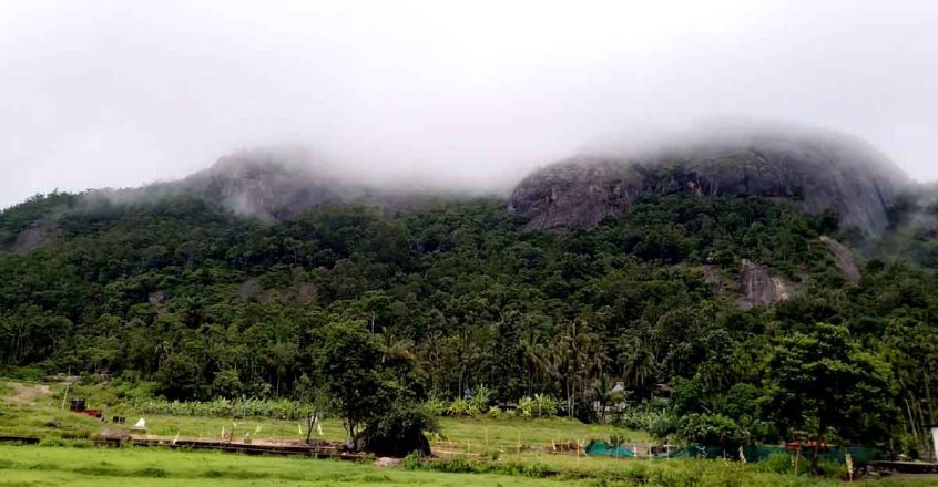 Forest dept to carry out study on impact of buffer zones on human settlements | Kerala | Onmanorama