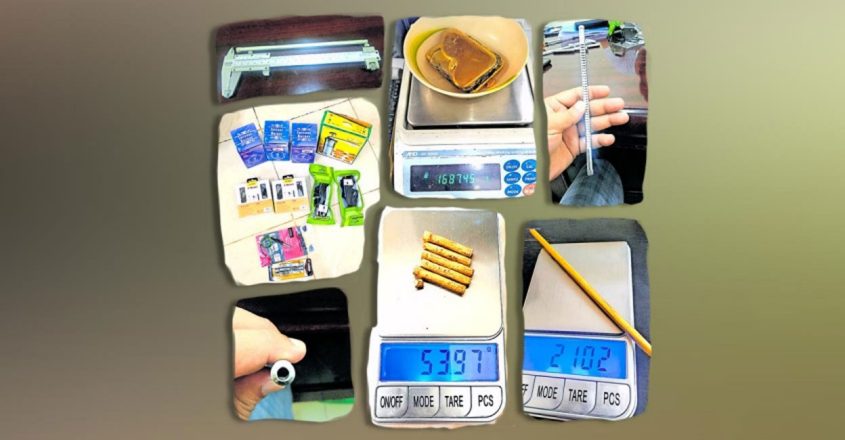 When cattle grazers turn gold carriers