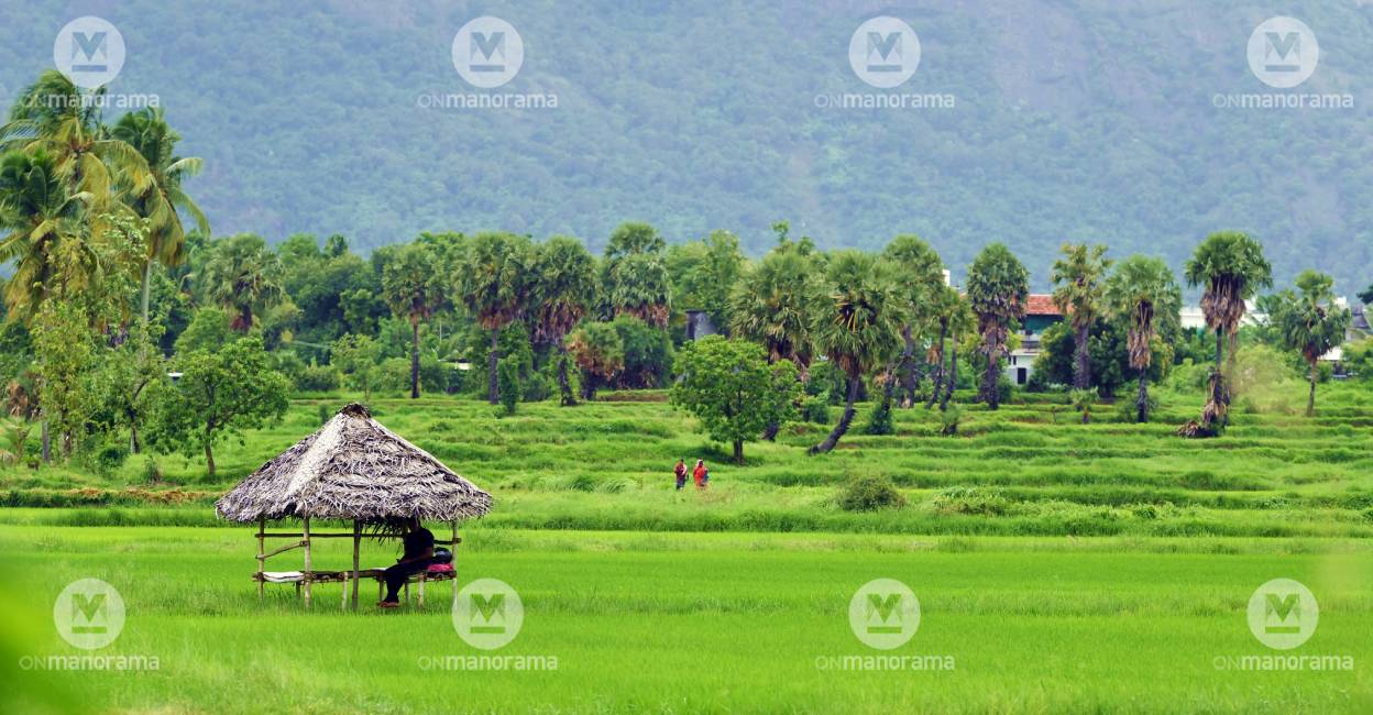 Column | Portuguese model for Kerala