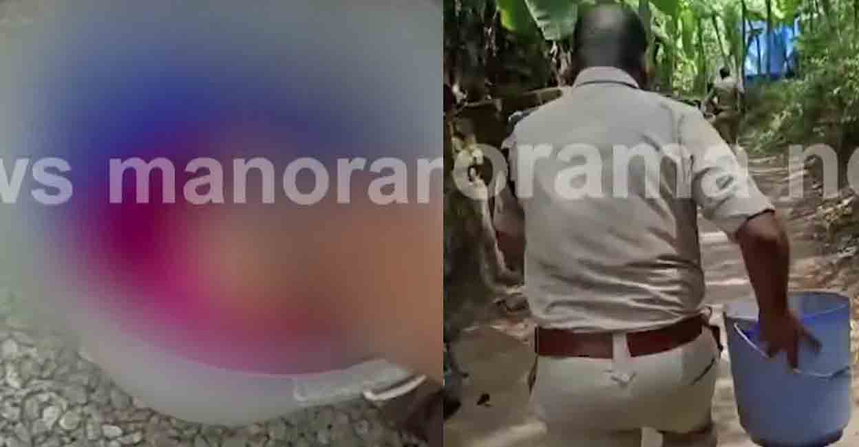 Newborn found abandoned in bucket in Pathanamthitta house | Manorama ...
