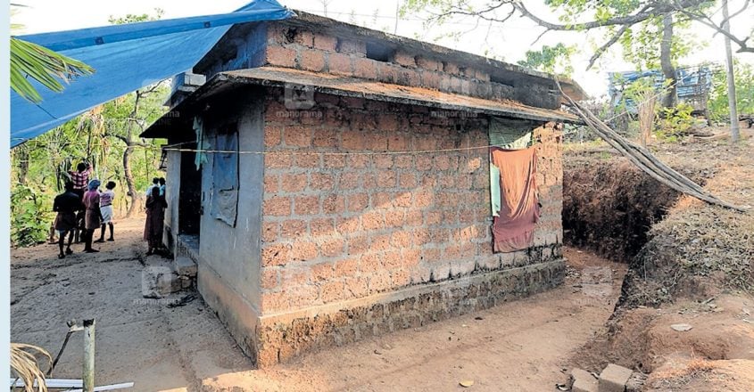 How wild elephants and white elephants are ruining Kannur's Aralam Farm ...