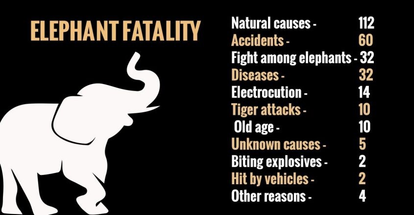 283 wild elephants died in Kerala in last two-and-a-half years