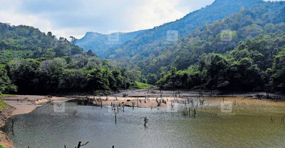Heavy rains lash in Pathanamthitta; shutters of Moozhiyar dam may be ...