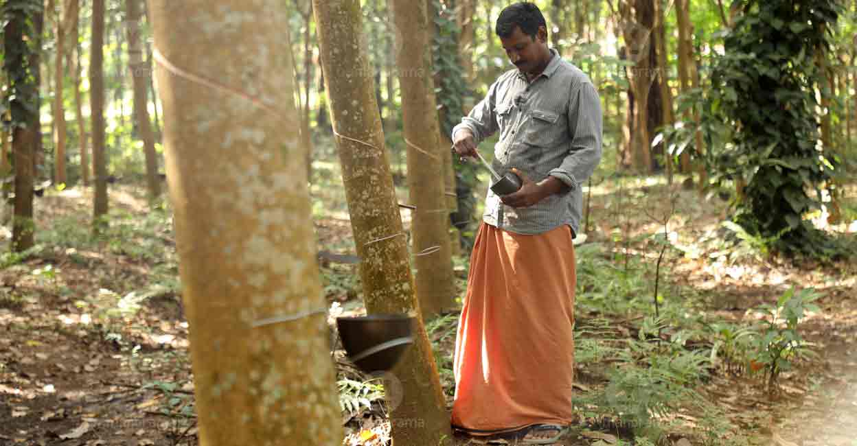 Unkind deed: Generations of Elanad forest settlers wait in vain for ...