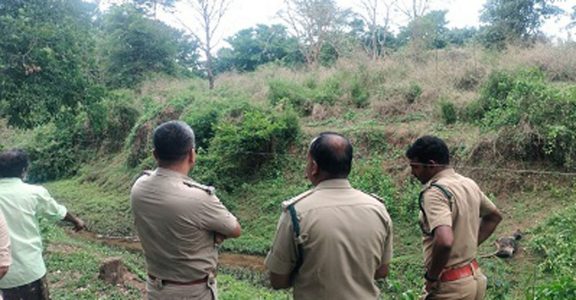 Two calves killed in suspected tiger attack at Pulpally in Wayanad