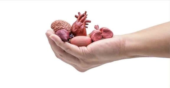 Organ trafficking racket agent arrested in Kochi airport