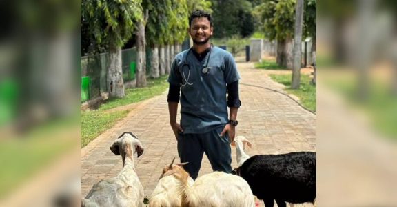 Pet 'matrimony': Kerala vet student launches website to find perfect ...
