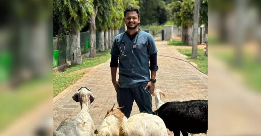 Pet 'matrimony': Kerala vet student launches website to find perfect ...