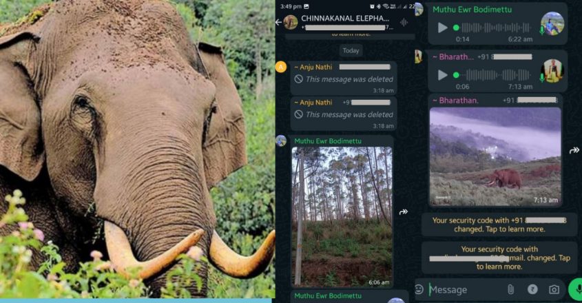How a Whatsapp community guards people from wild elephant attacks in Chinnakanal, Idukki