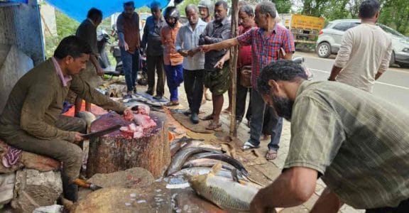 Wayanad fish lovers spurn pricey marine fish, queue up for fresh catch ...