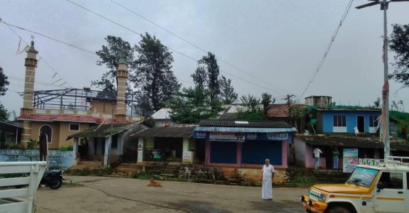 Protest brews as mammoth elephant corridor project may hit over 35,000 ...