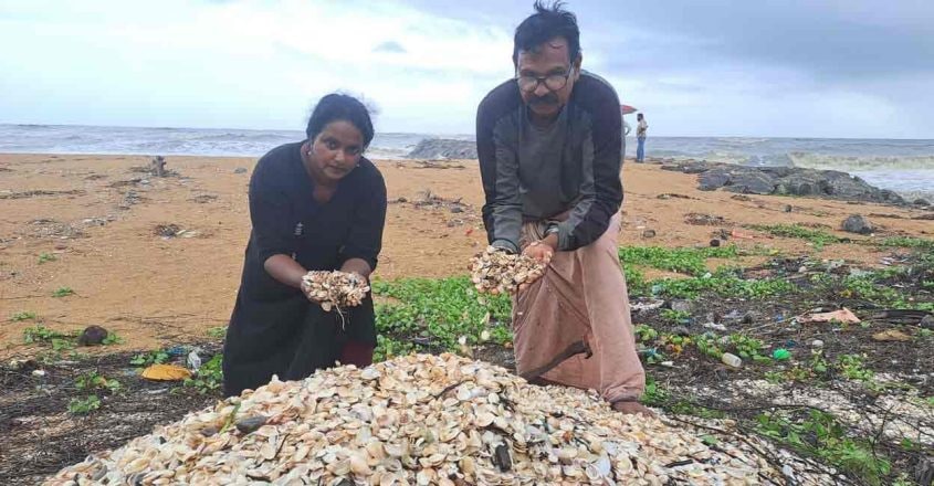 India's first licensed deep sea fisherwoman now picks clam shells for a ...