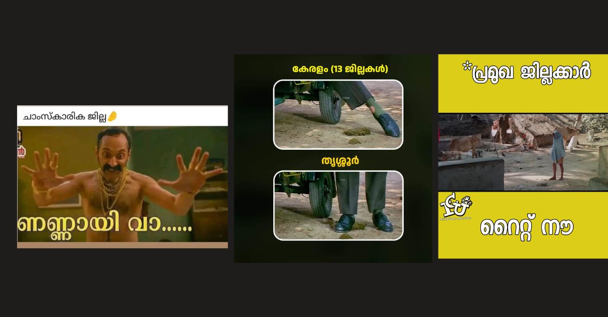 Thrissur's BJP win: Kerala's cultural capital becomes meme central