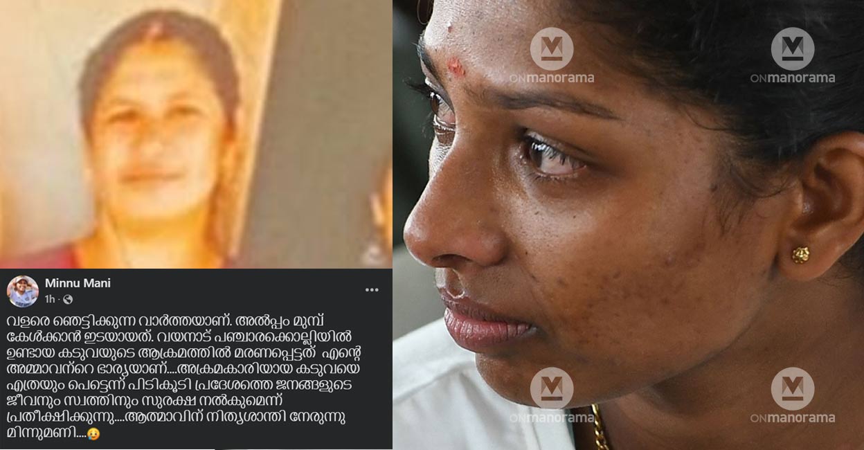 Tribal woman killed in tiger attack is Indian cricketer Minnu Mani's ...