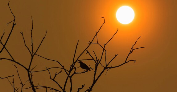 kerala cities temperature