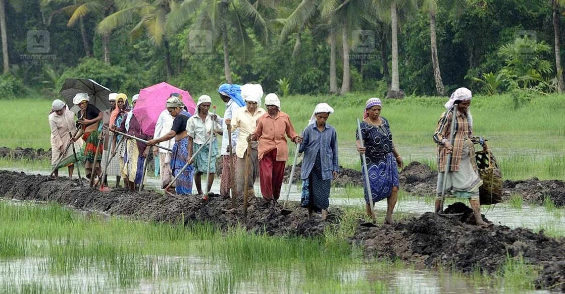 MGNREGA registrations in Kerala hit 4-year low, down 55.91% | Onmanorama News | Kerala News