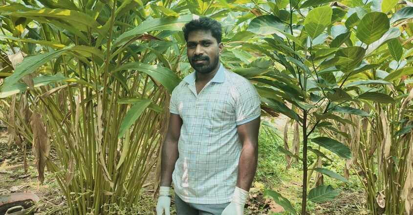 This Kerala king wages no wars, conquers no empires but grows cardamom ...